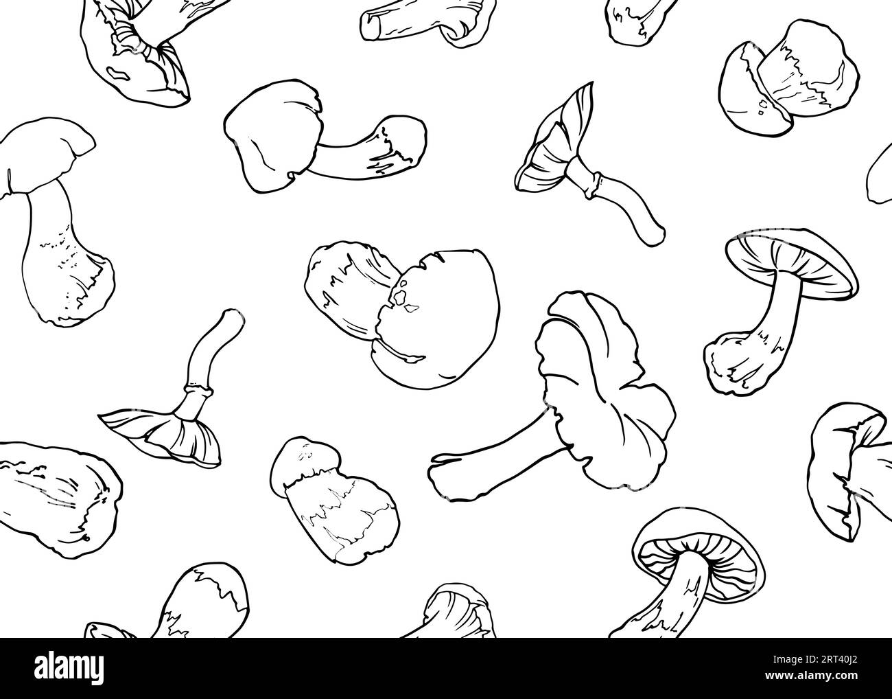 Seamless pattern of mushrooms. Hand drawing lines. Sketch drawing of a ...