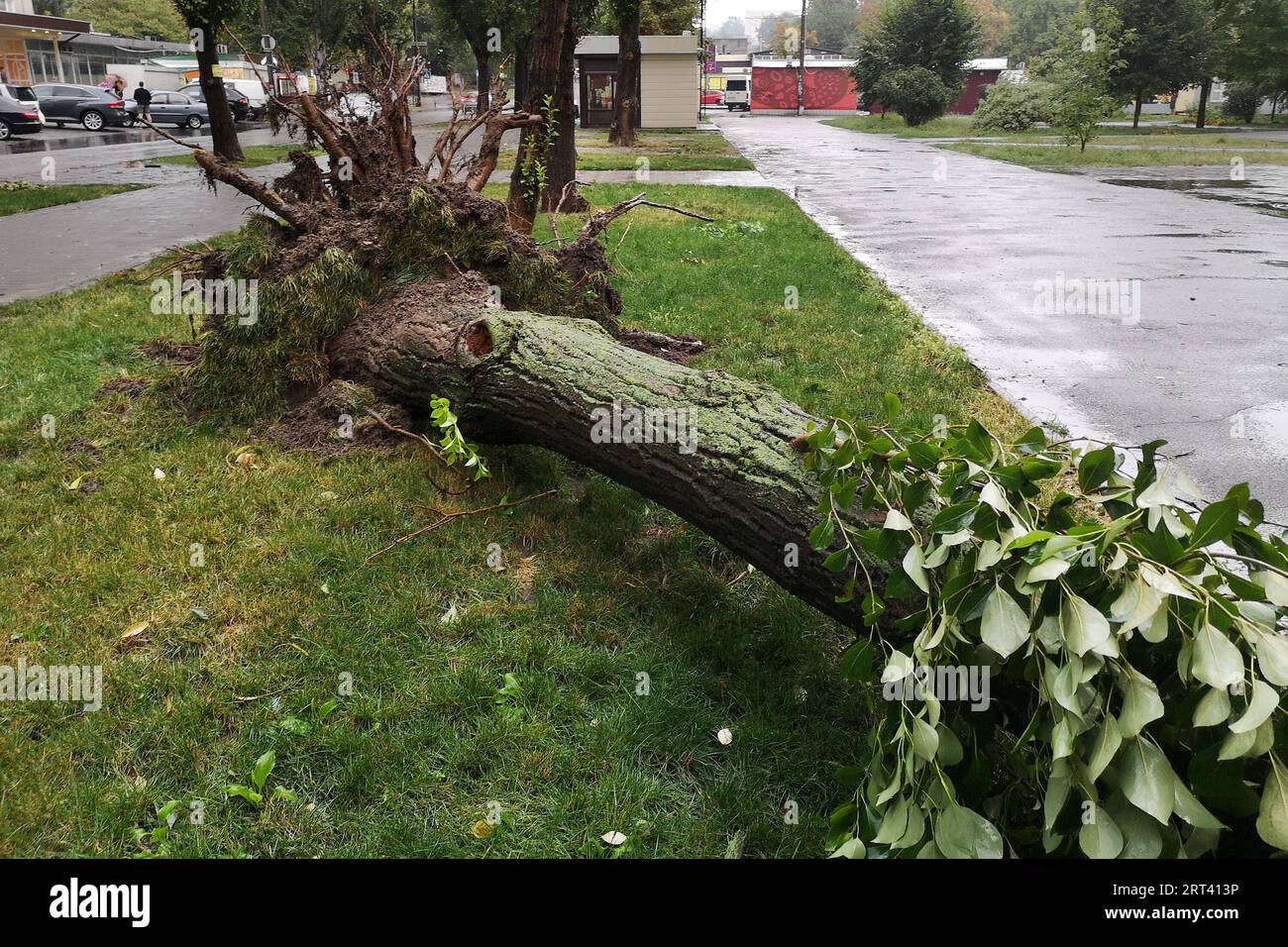 Man fallen on ground hi-res stock photography and images - Alamy