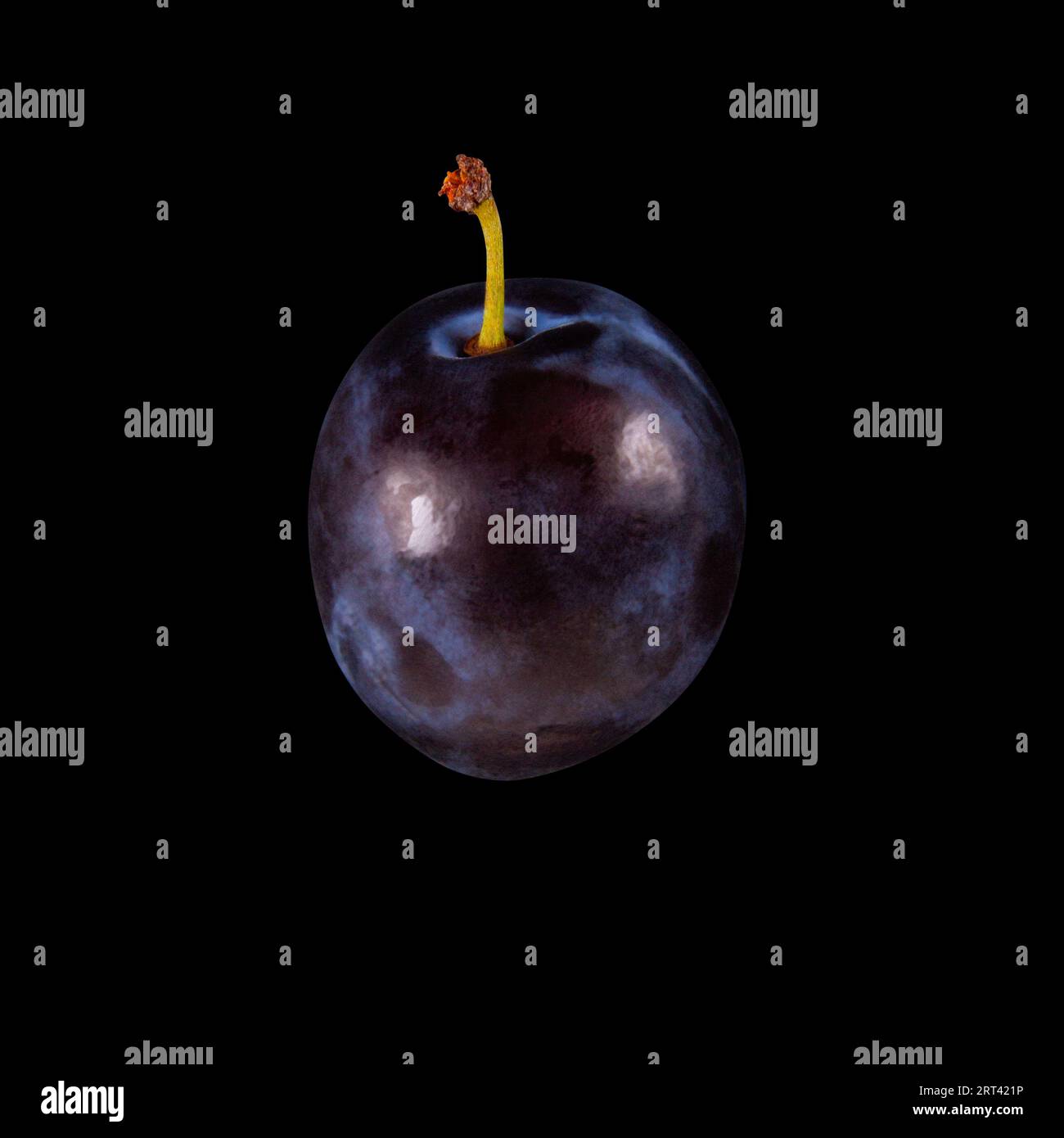 Purple plum isolated on solid black background with Clipping path Stock ...