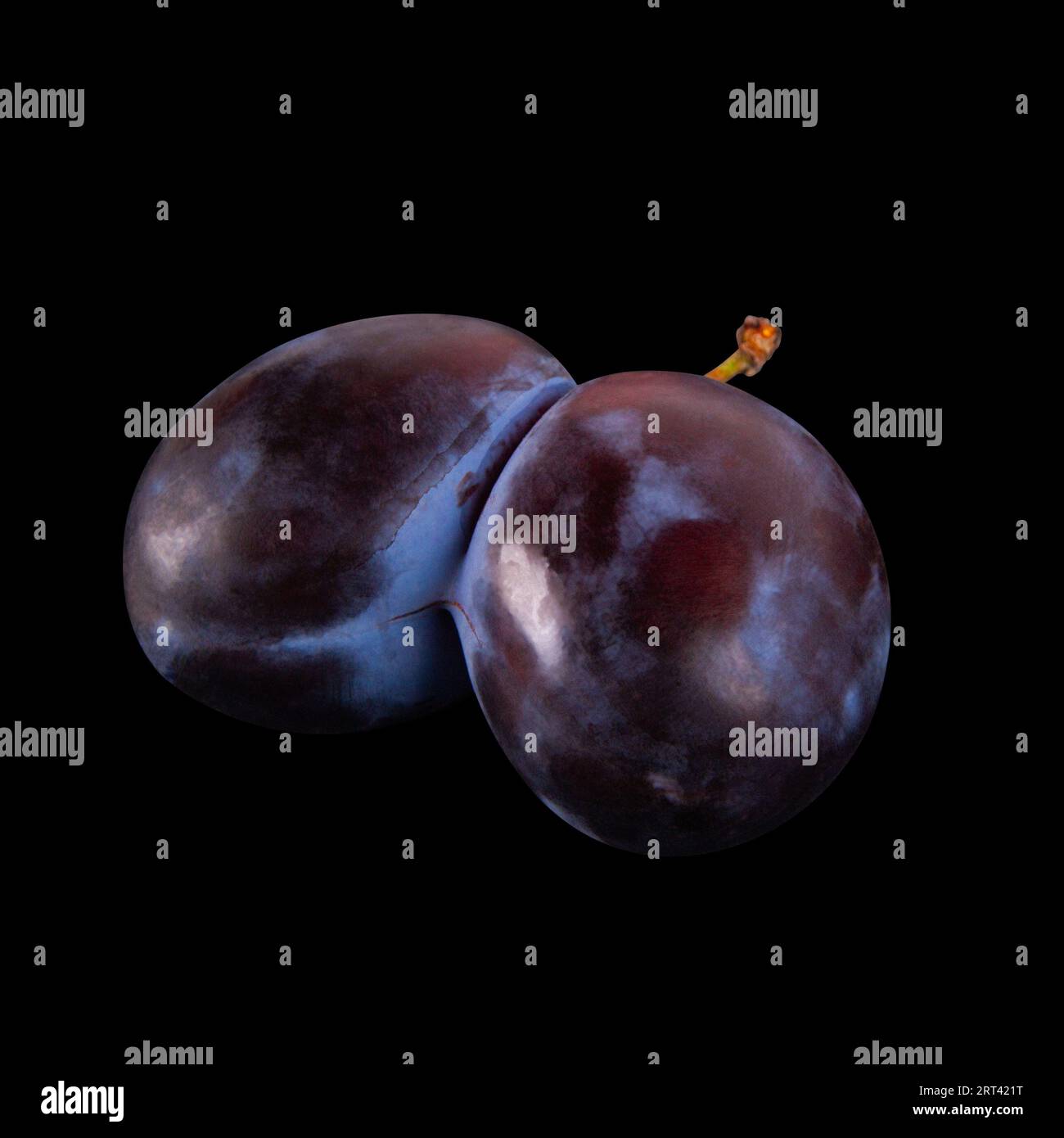 Unique sight two plums intricately conjoined isolated on black ...