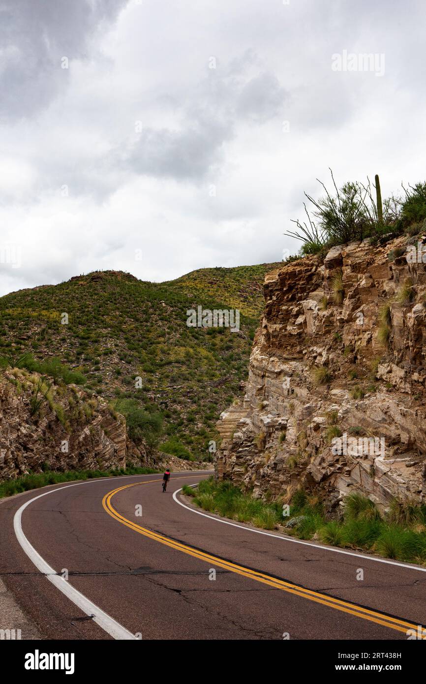 Arizona auto tour or bicycle ride up Mount Lemmon through Coronado ...