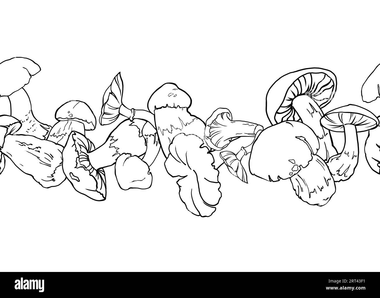 Seamless border of mushrooms. Hand drawing lines. Sketch drawing of a ...
