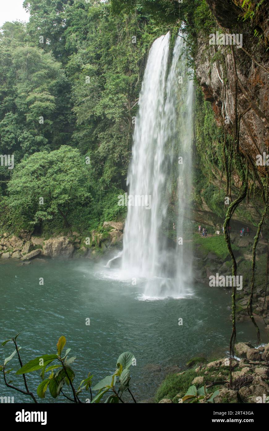 Misol-Ha waterfalls. Touristic waterfalls in Palenque, Chiapas Stock ...