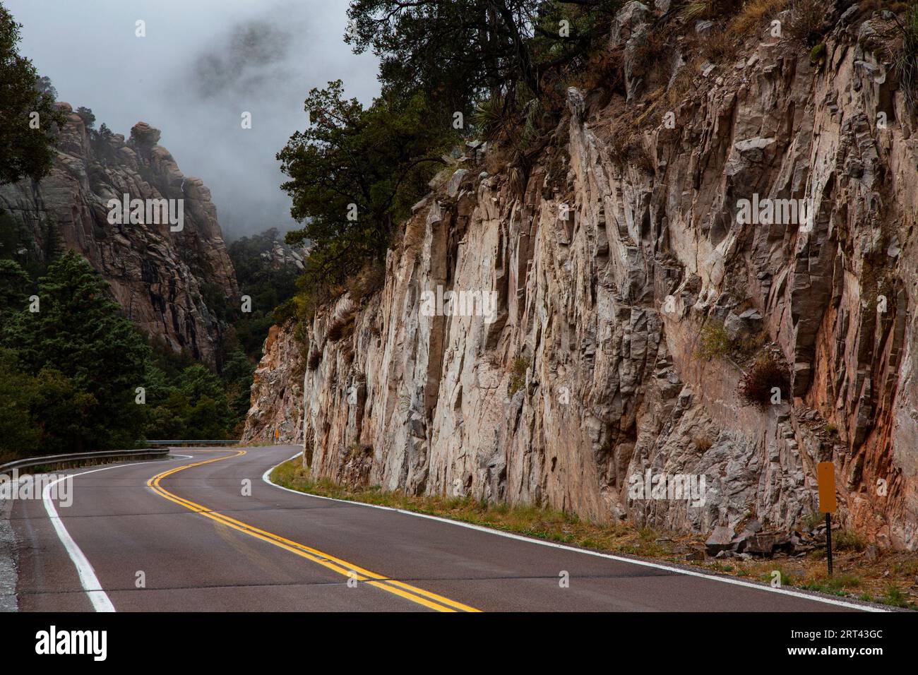 Arizona auto tour or bicycle ride up Mount Lemmon through Coronado ...