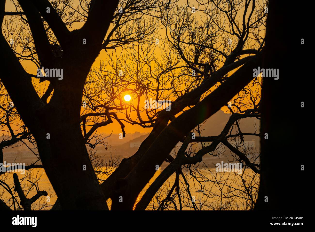 Sunset view of landscape with tree shadow and sun at Macao Stock Photo ...