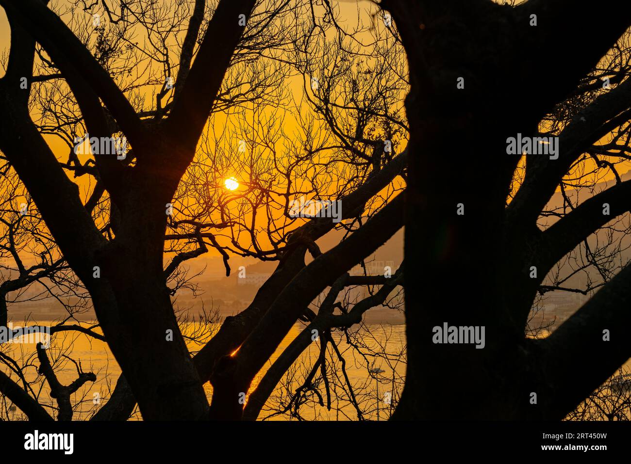 Sunset view of landscape with tree shadow and sun at Macao Stock Photo ...