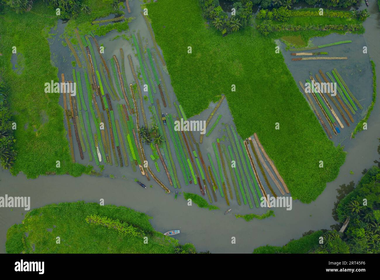 Pirojpur, Bangladesh: Aerial view of Floating vegetable beds at ...