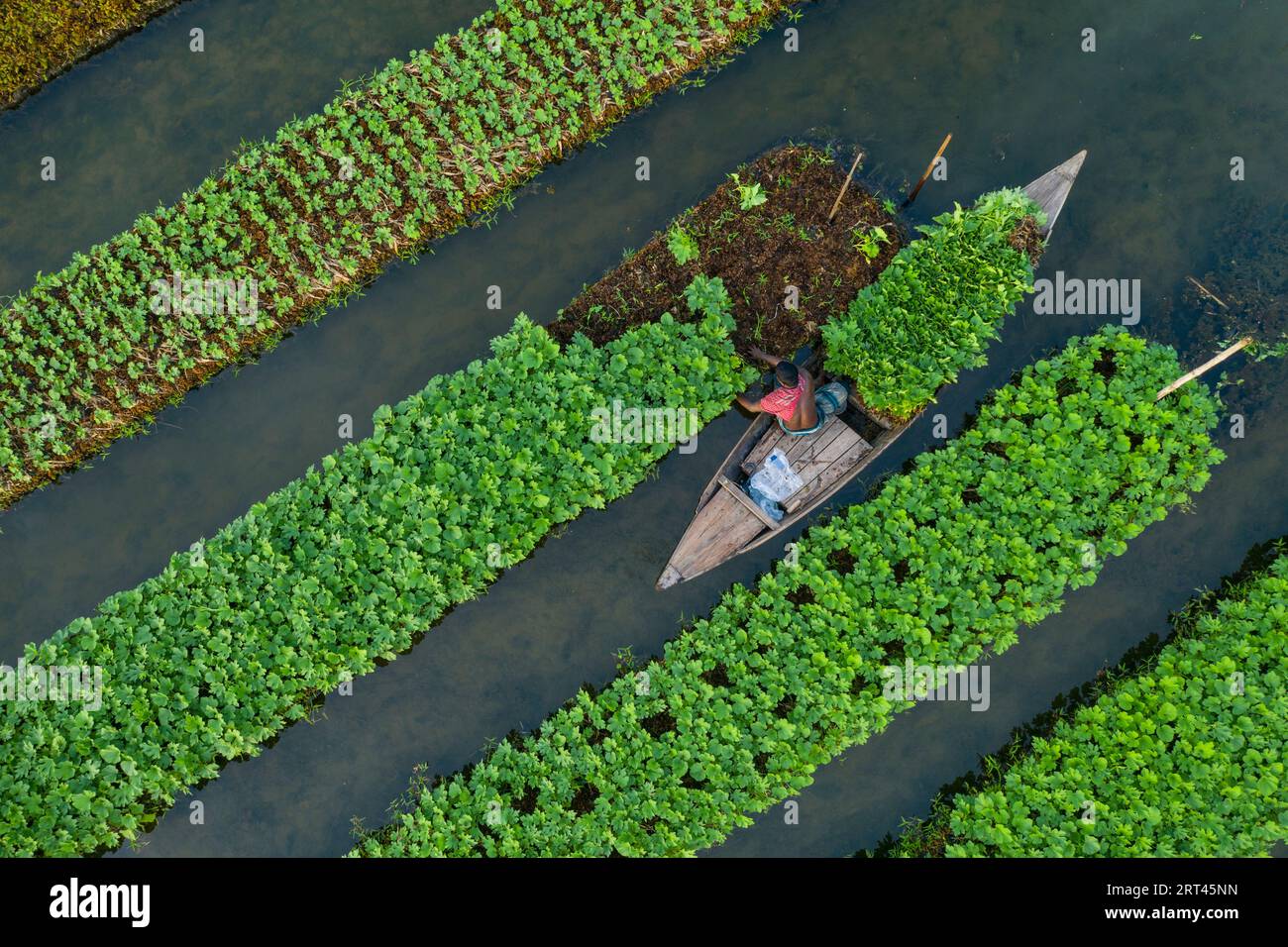 Pirojpur, Bangladesh: Aerial view of Floating vegetable beds at ...