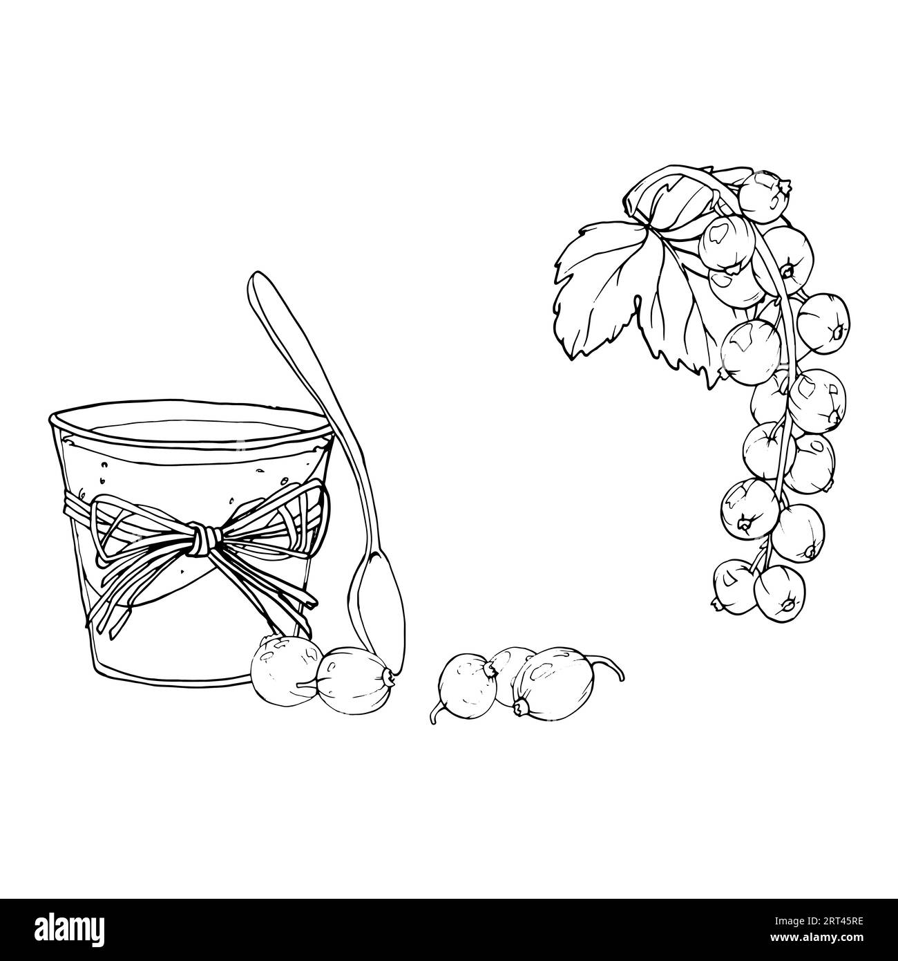 Red currant berries isolated on white background. Hand drawn vector ...