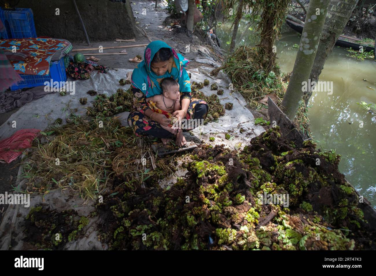 A woman prepares seedling balls to be planted on their floating farm ...