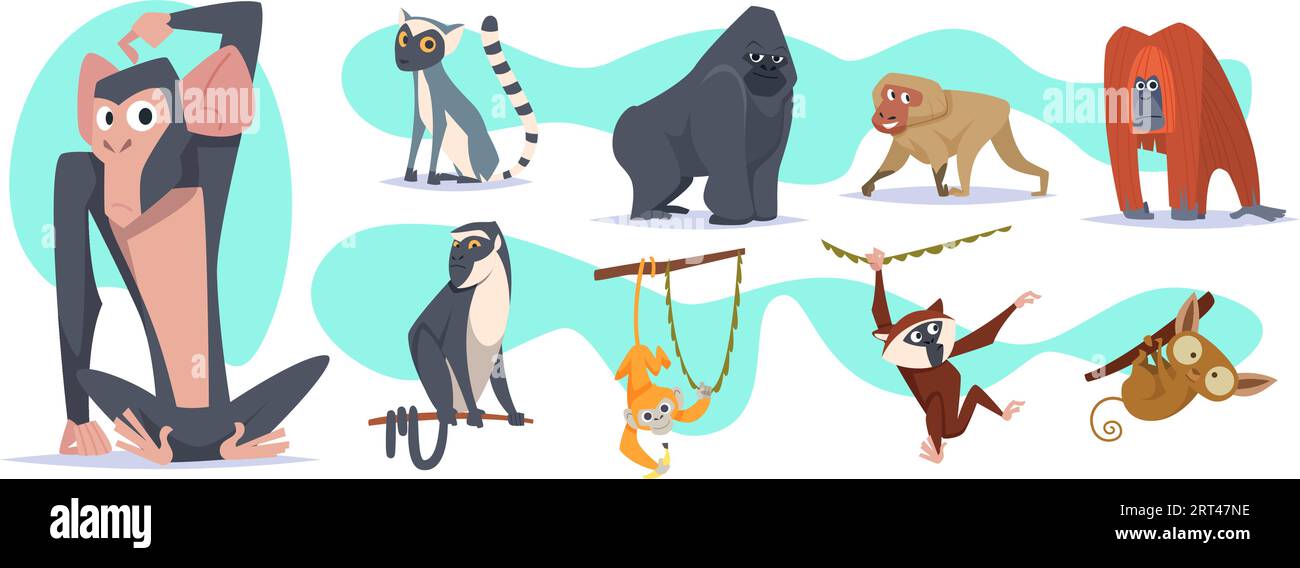 Cartoon monkey. Wild animals standing jumping and walking exact vector ...