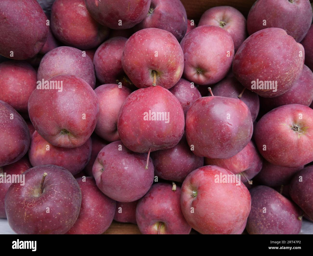 Red apples Real background ,untouched Stock Photo - Alamy