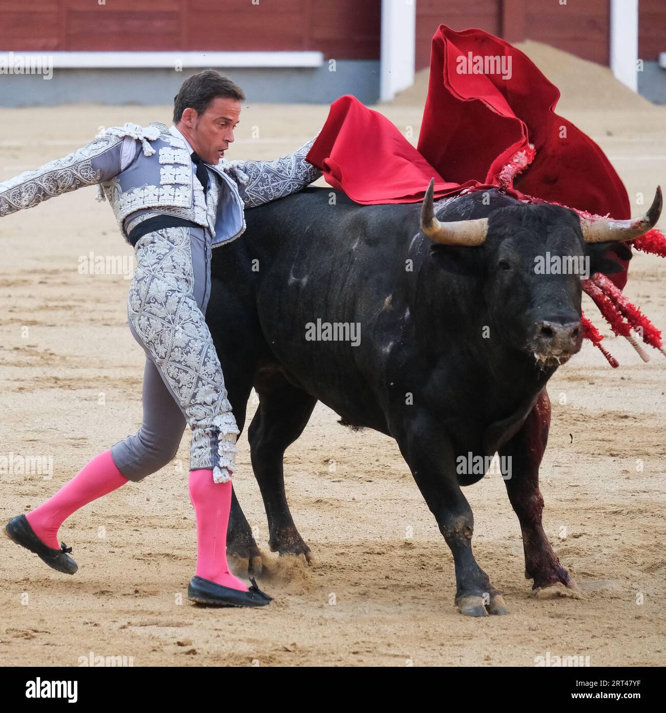 the bullfighter Paco Ramos during the bullfight of Corrida de Toros in ...