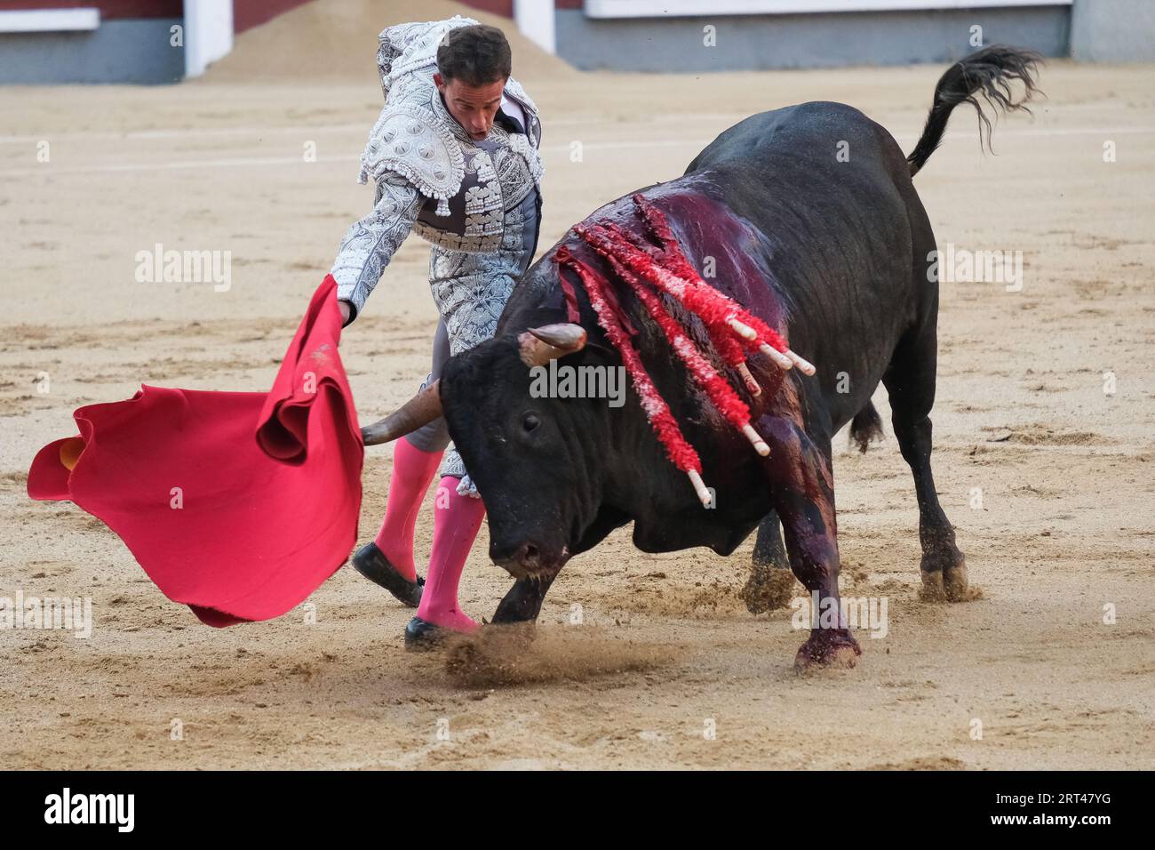 the bullfighter Paco Ramos during the bullfight of Corrida de Toros in ...