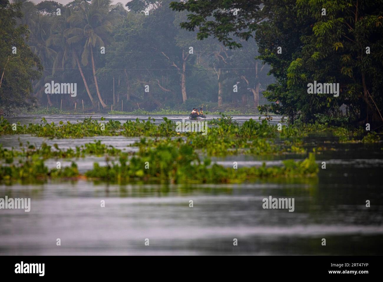 Life around the Sondha River. Pirojpur, Bangladesh Stock Photo - Alamy