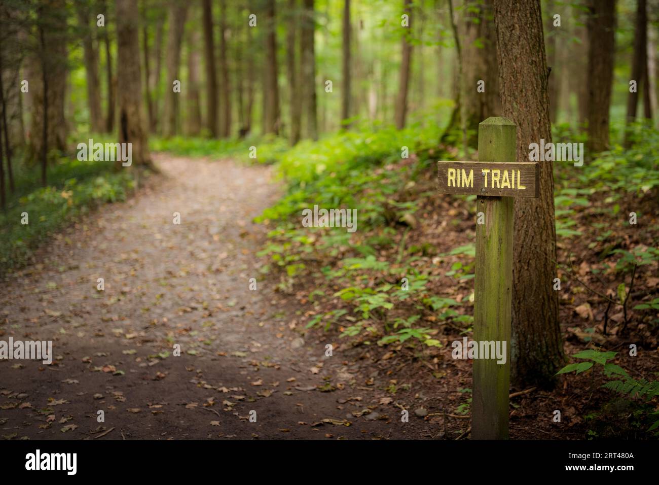 Brown rustic wooden sign noting RIM TRAIL with a walking path extending ...