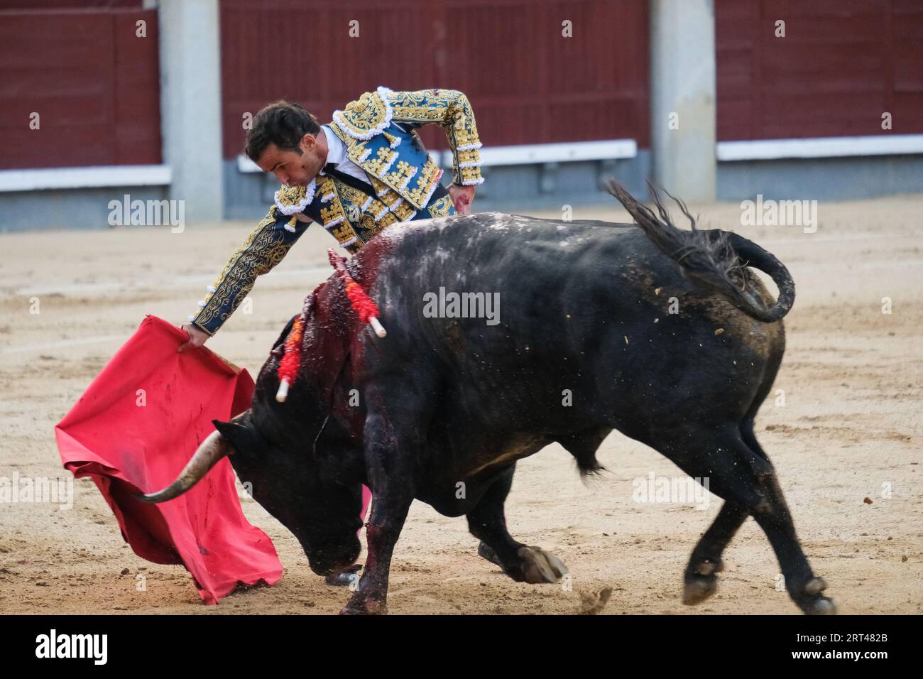 the bullfighter Damián Castaño during the bullfight of Corrida de Toros ...