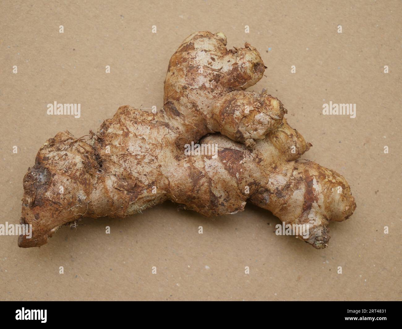 Ginger on isolated background , medicinal root for cooking Stock Photo ...