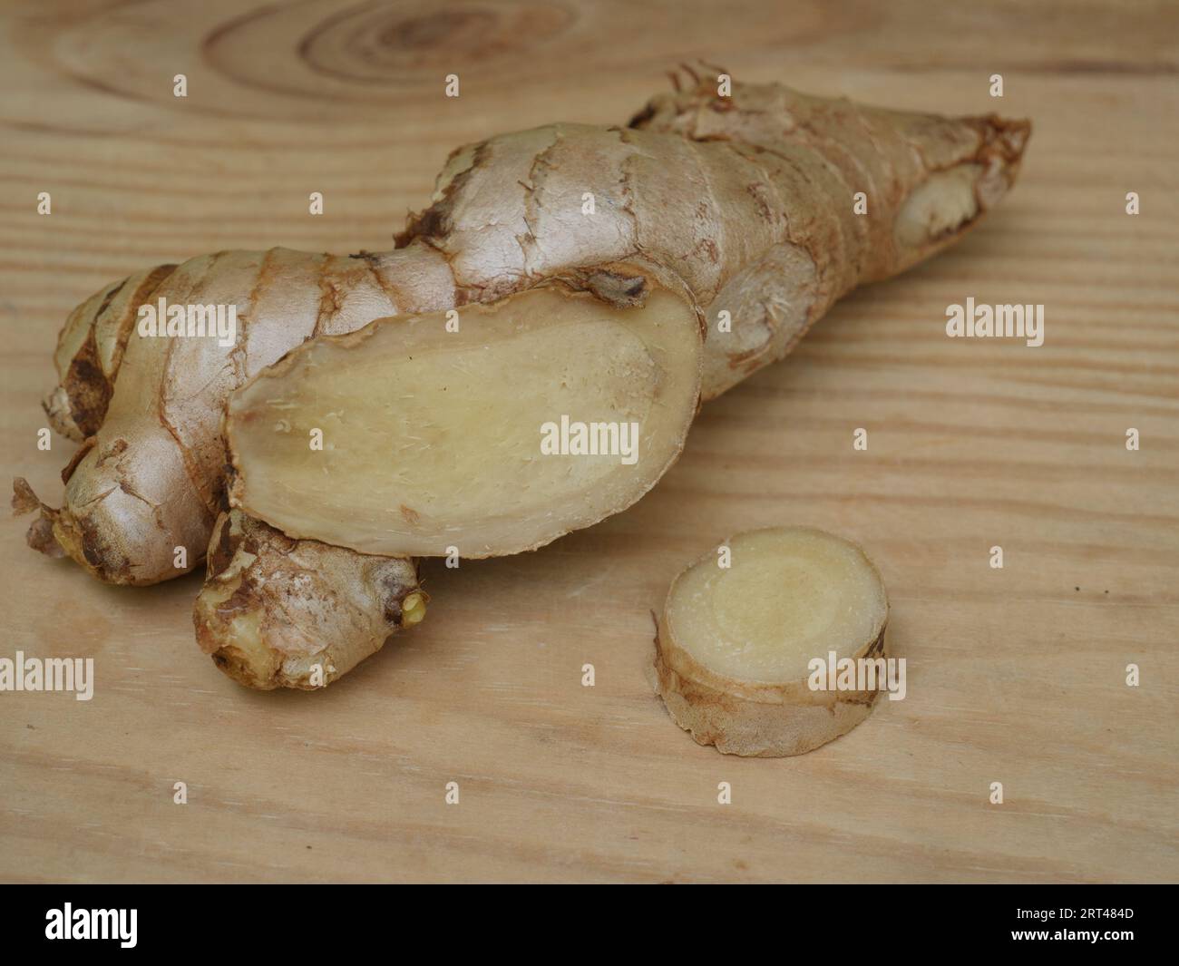 Rhizome section hi-res stock photography and images - Alamy