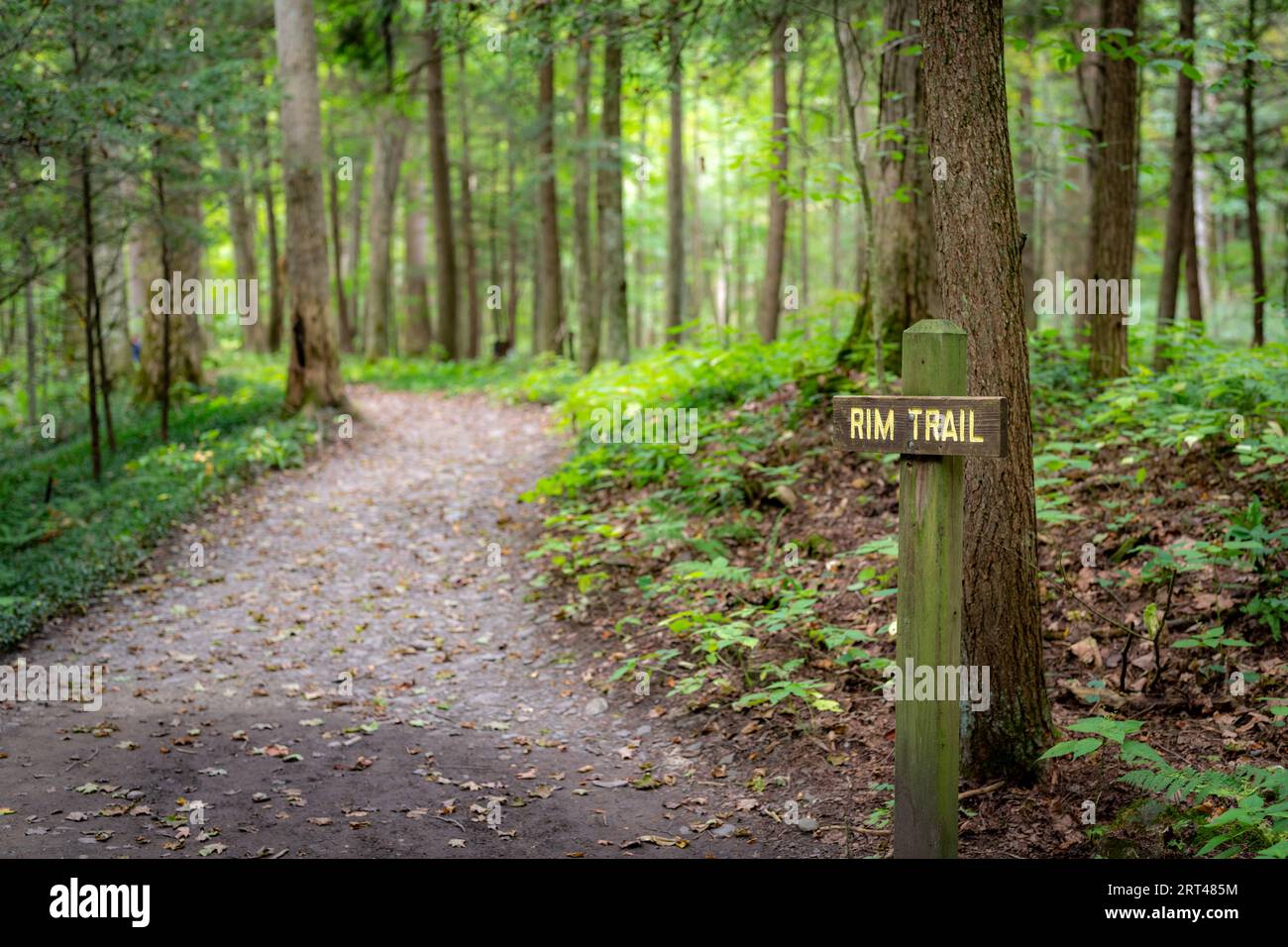 Brown rustic wooden sign noting RIM TRAIL with a walking path extending ...