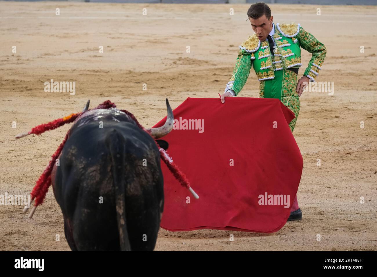 the bullfighter Luis Gerpe during the bullfight of Corrida de Toros in ...