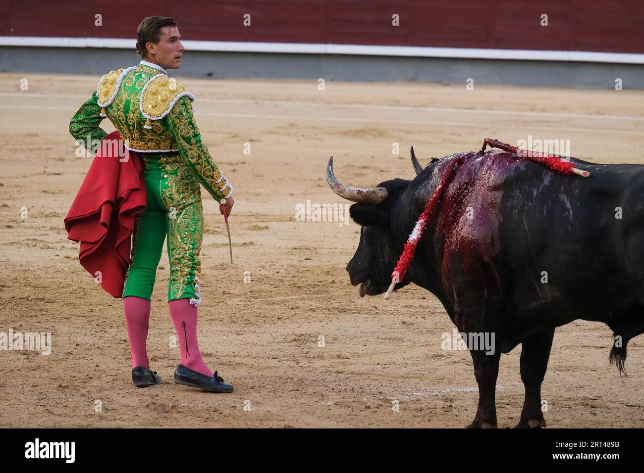 the bullfighter Luis Gerpe during the bullfight of Corrida de Toros in ...