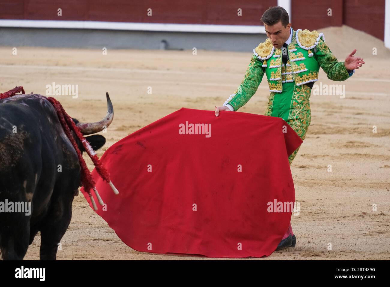 the bullfighter Luis Gerpe during the bullfight of Corrida de Toros in ...
