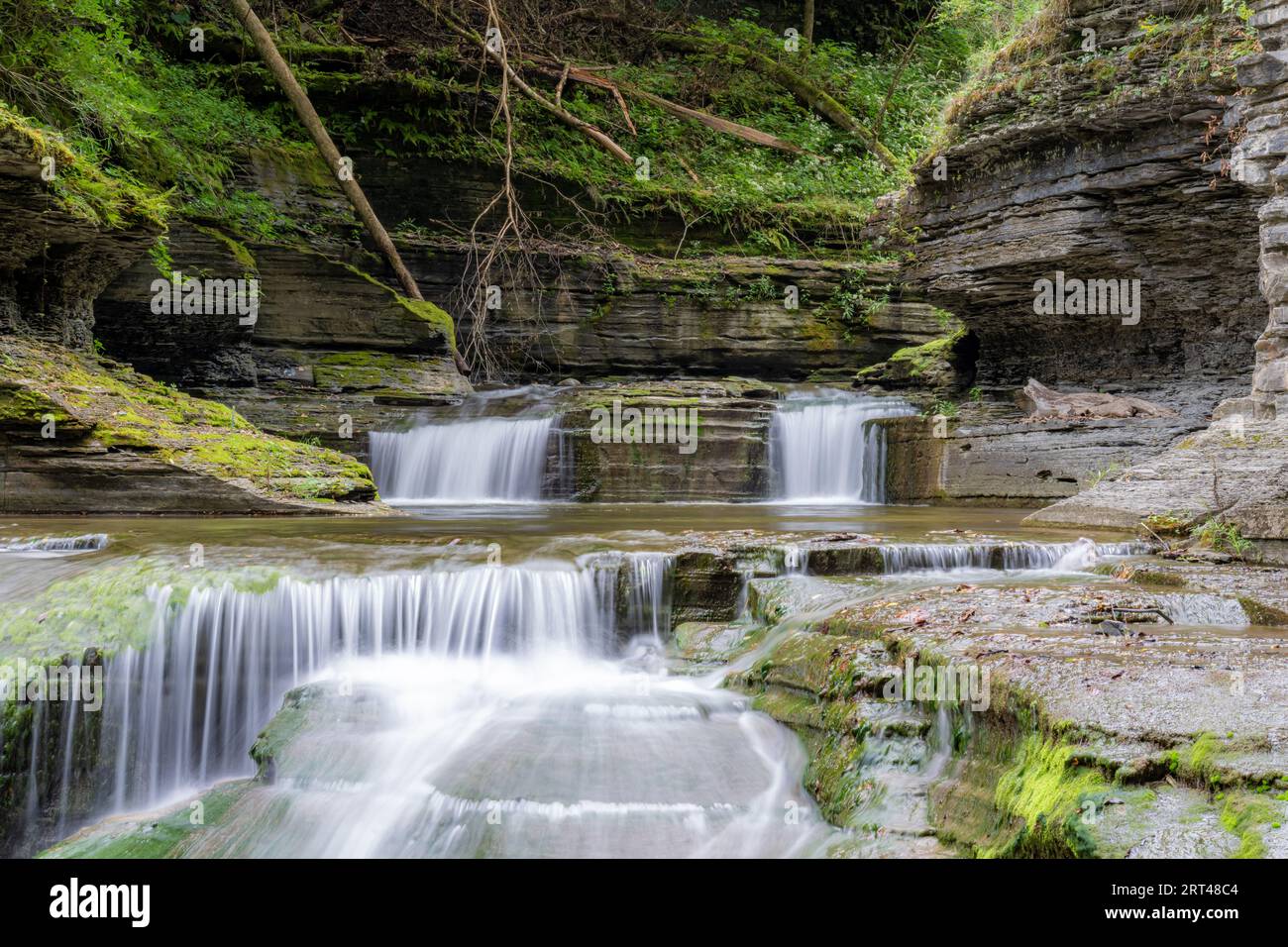 Late afternoon Summer photo of a waterfall in Robert H. Treman State ...