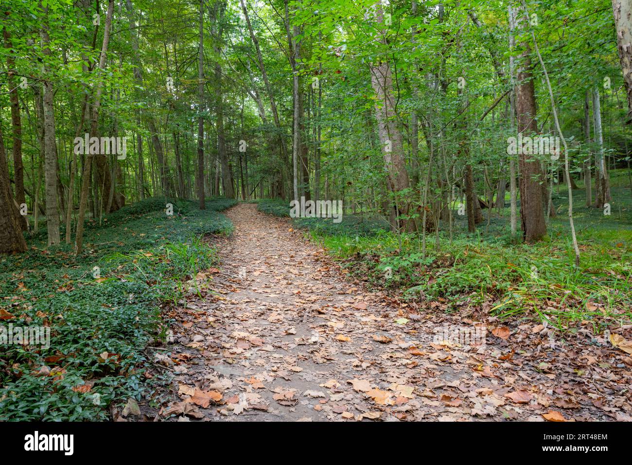 Robert trail hi-res stock photography and images - Alamy