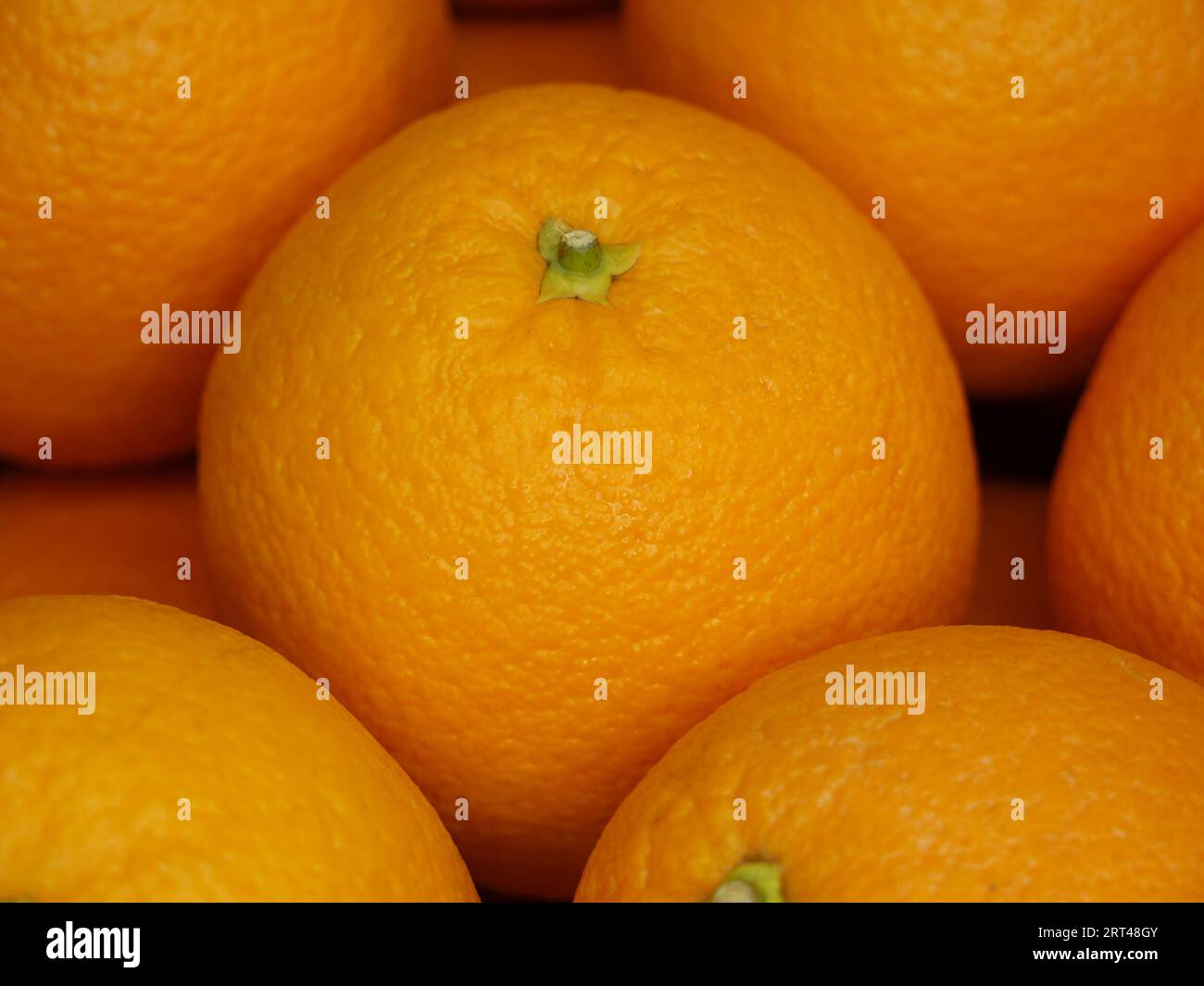 Extreme closeup view slice hi-res stock photography and images - Alamy