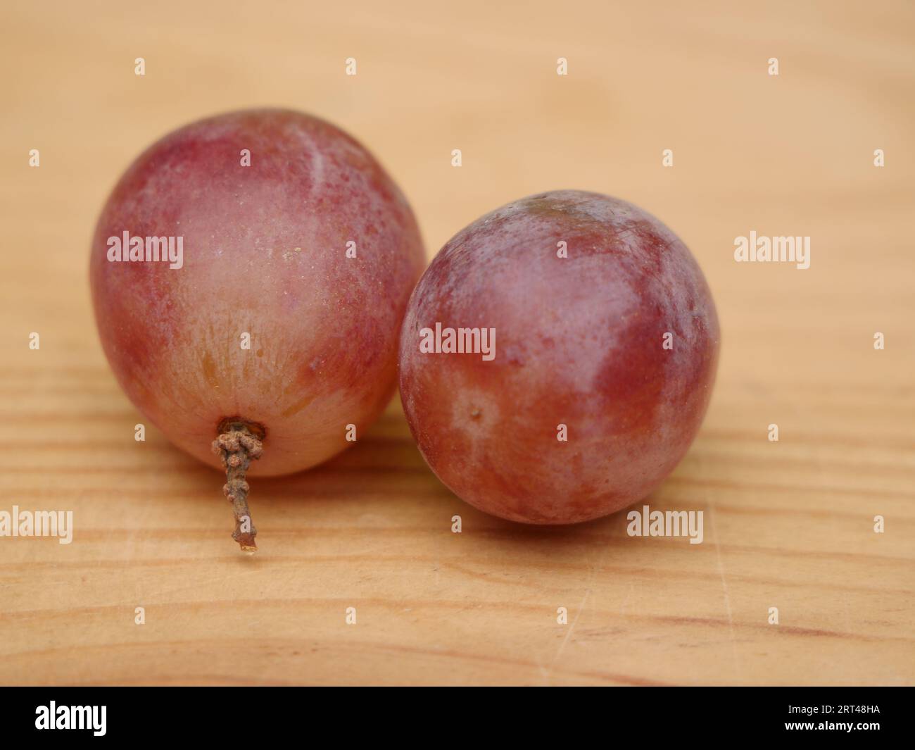 Red globe grapes hi-res stock photography and images - Alamy