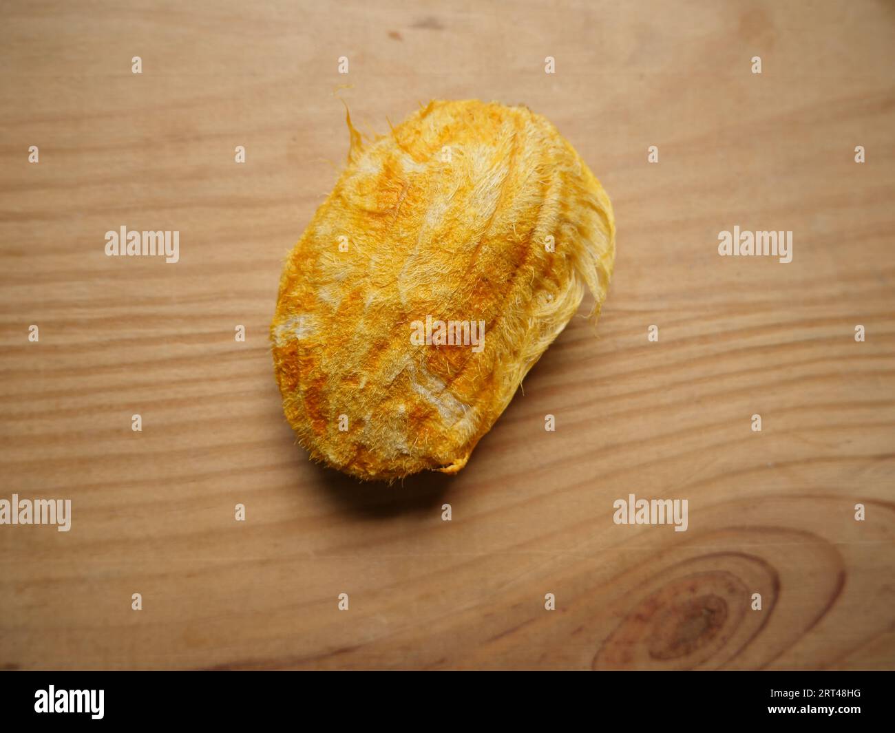 Mango Tree Seed on wood background Stock Photo - Alamy