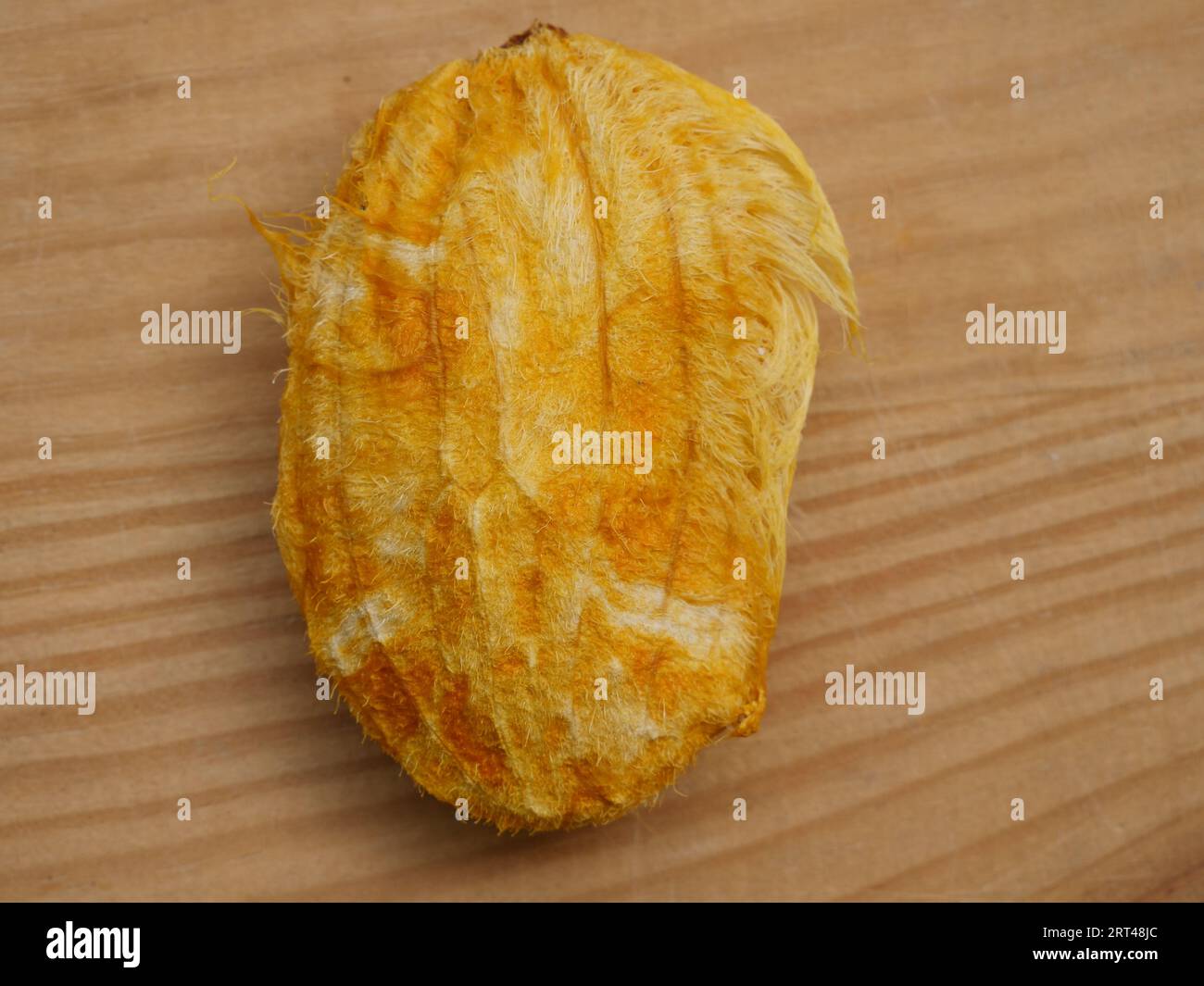 seed of mango isolated on wood background Stock Photo - Alamy