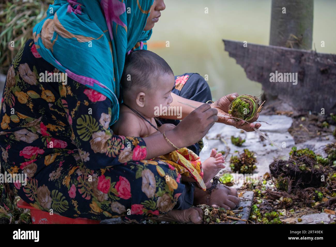 A woman prepares seedling balls to be planted on their floating farm ...