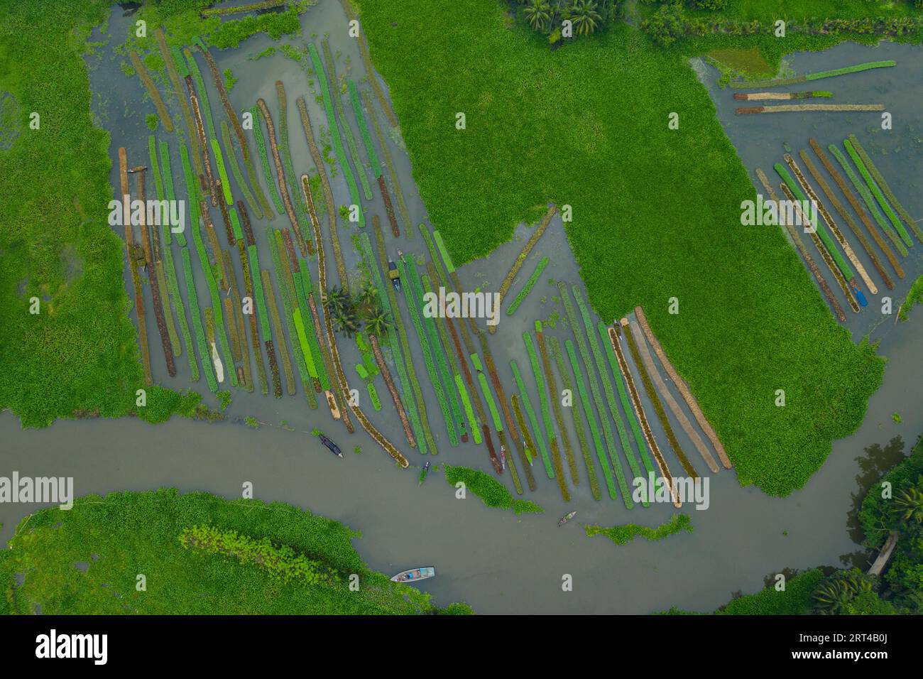 Pirojpur, Bangladesh: Aerial view of Floating vegetable beds at ...