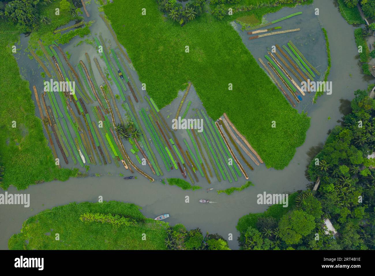 Pirojpur, Bangladesh: Aerial view of Floating vegetable beds at ...