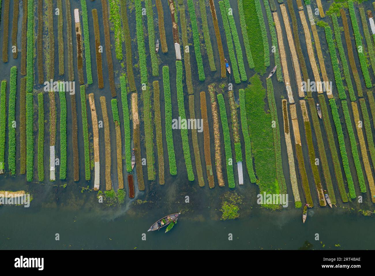 Pirojpur, Bangladesh: Aerial view of Floating vegetable beds at ...