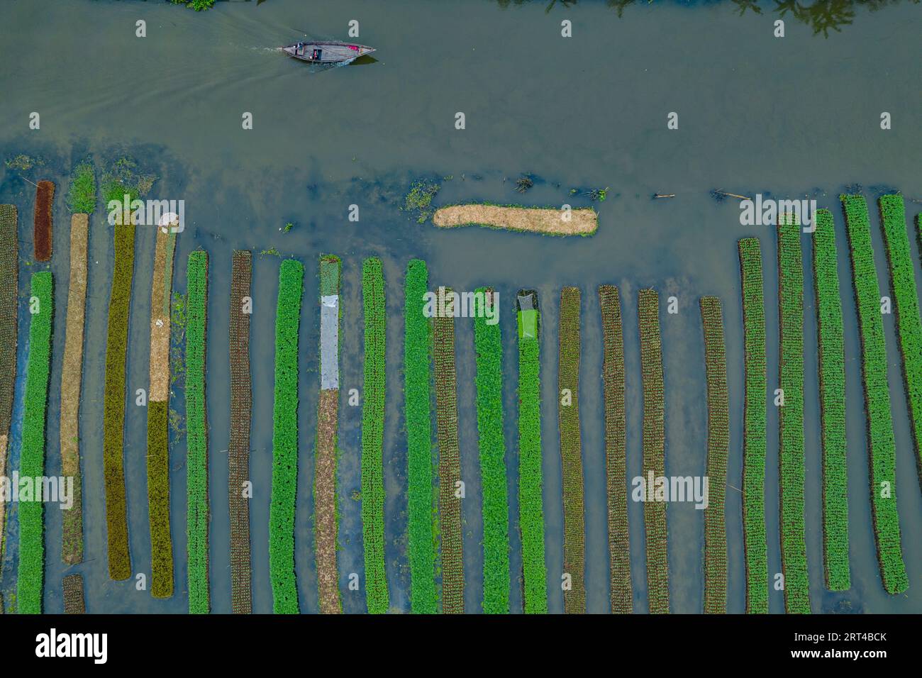 Pirojpur, Bangladesh: Aerial view of Floating vegetable beds at ...