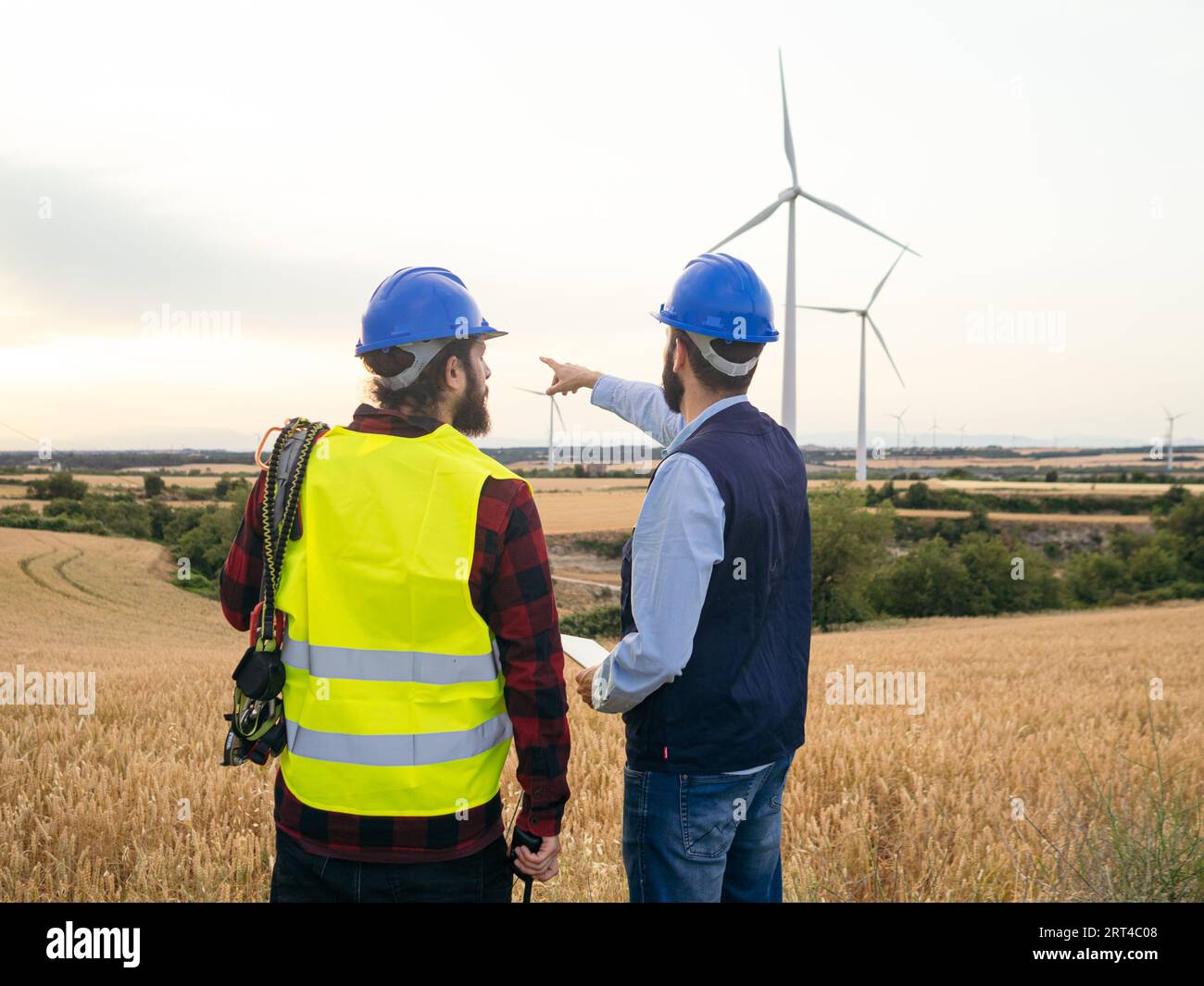 Two technical workers with their backs turned watching and pointing in ...
