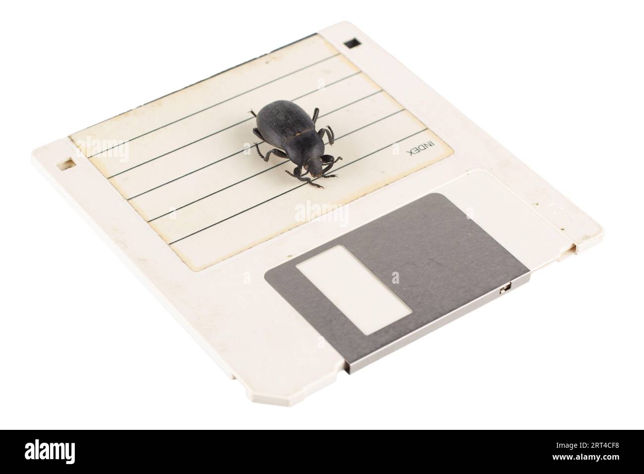 Bug on retro floppy diskette. Computer error concept. Isolated on white background Stock Photo ...