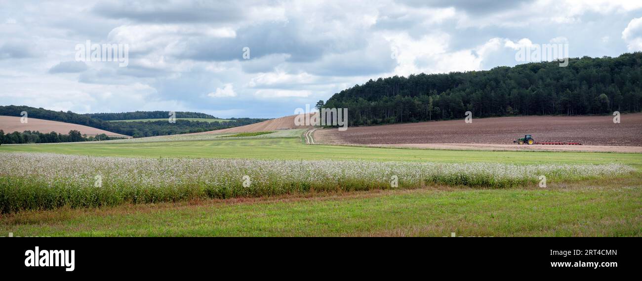 „parc national de forets“ hi-res stock photography and images - Alamy