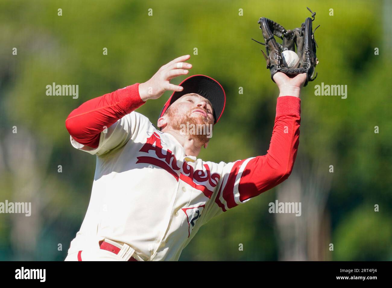 Los Angeles Angels second baseman Brandon Drury catches a line hit by ...
