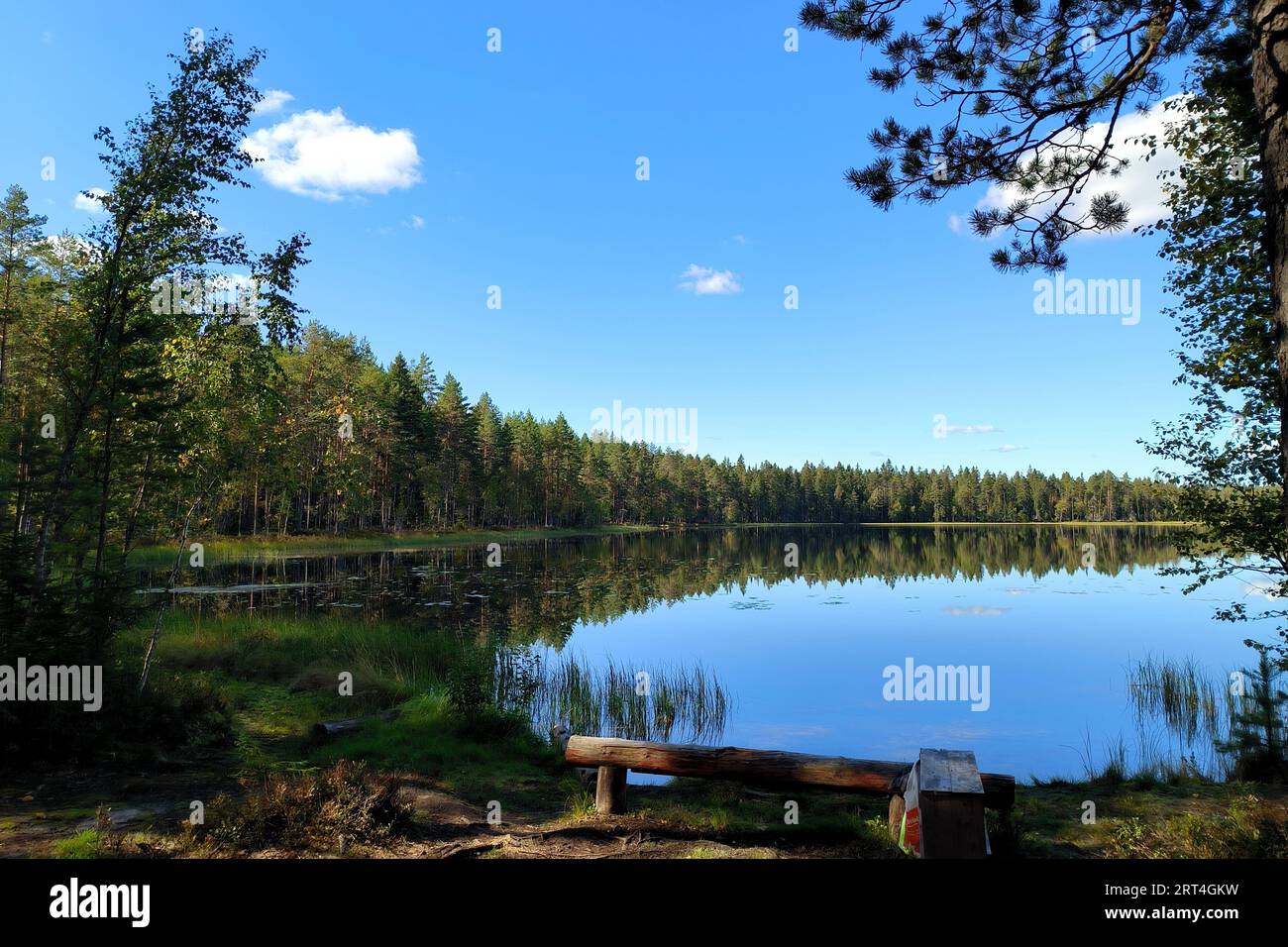 Russian Federation. Leningrad region, near the city of St. Petersburg ...