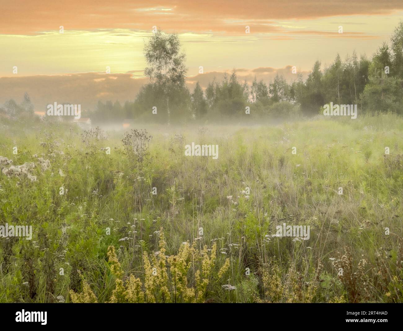 Sunsets and sunrises symbolize a new beginning in our life, and the sky ...