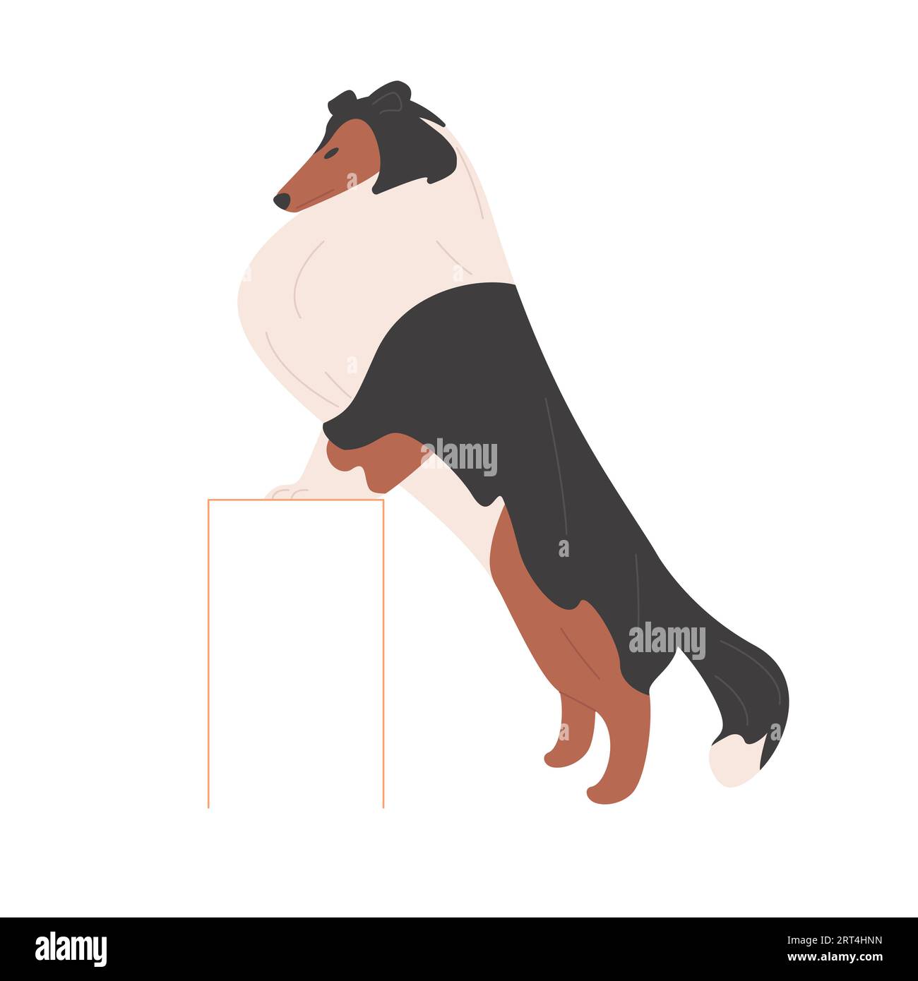 Jumping sheltie dog breed. Sheep doggy, domestic family pet cartoon ...