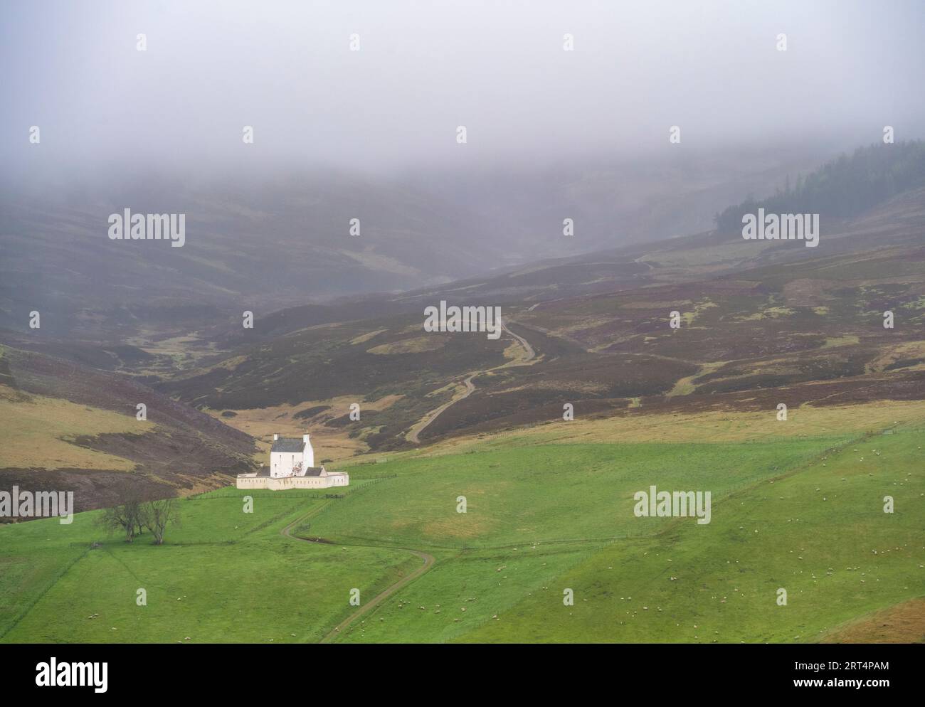 Heather moors scotland hi-res stock photography and images - Alamy