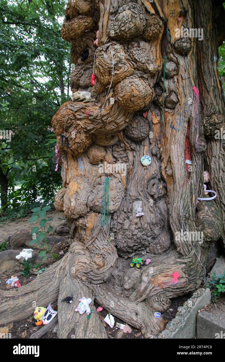 Old louisville neighborhood hi-res stock photography and images - Alamy