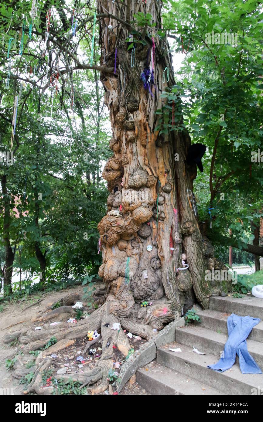 Old louisville neighborhood hi-res stock photography and images - Alamy