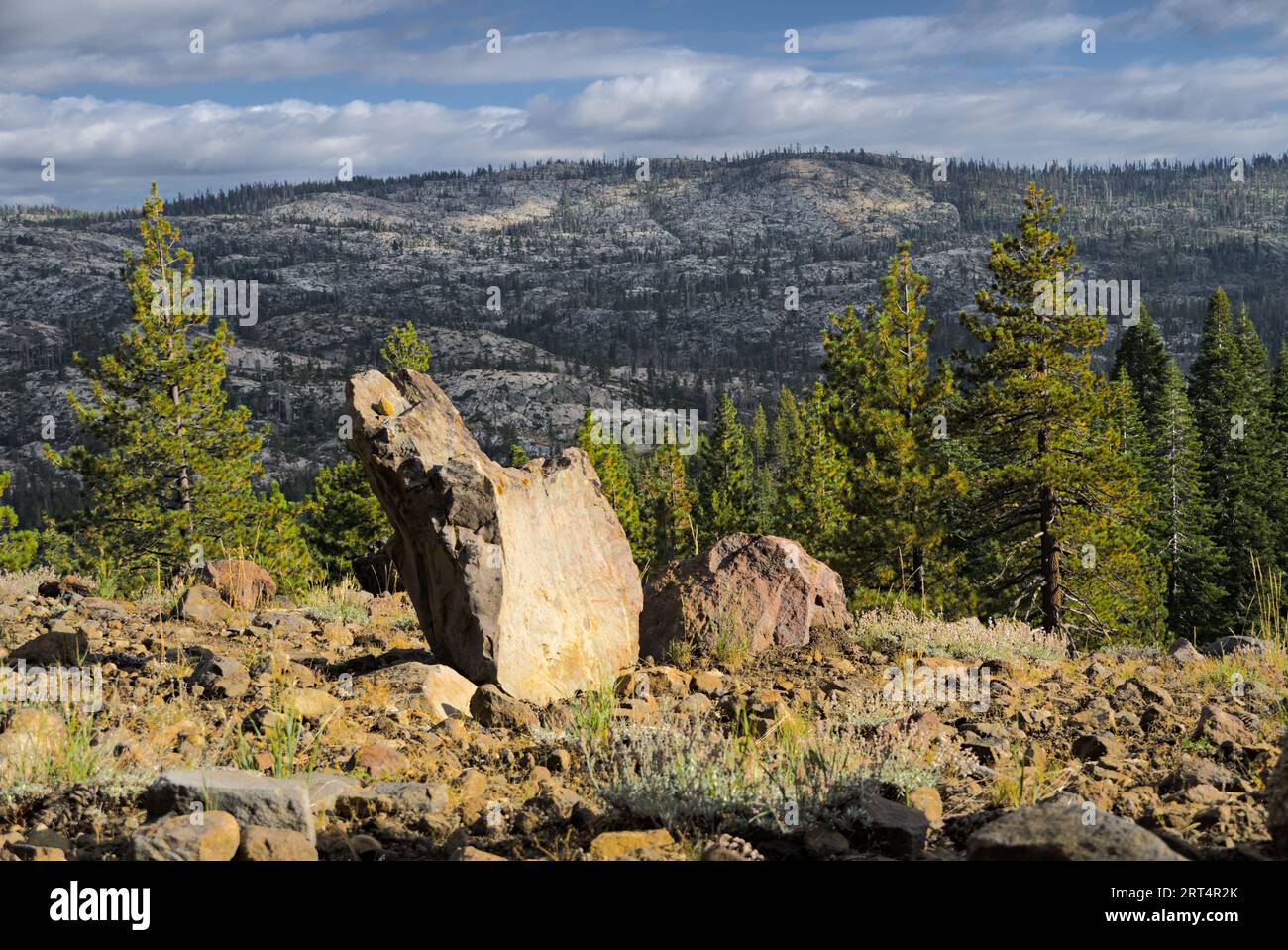 Boulder on top of the alpine mountains Stock Photo - Alamy