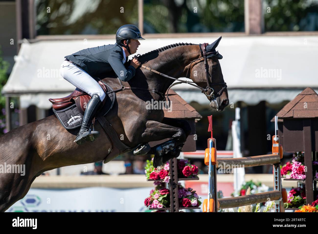 Bertram allen pacino amiro hi-res stock photography and images - Alamy